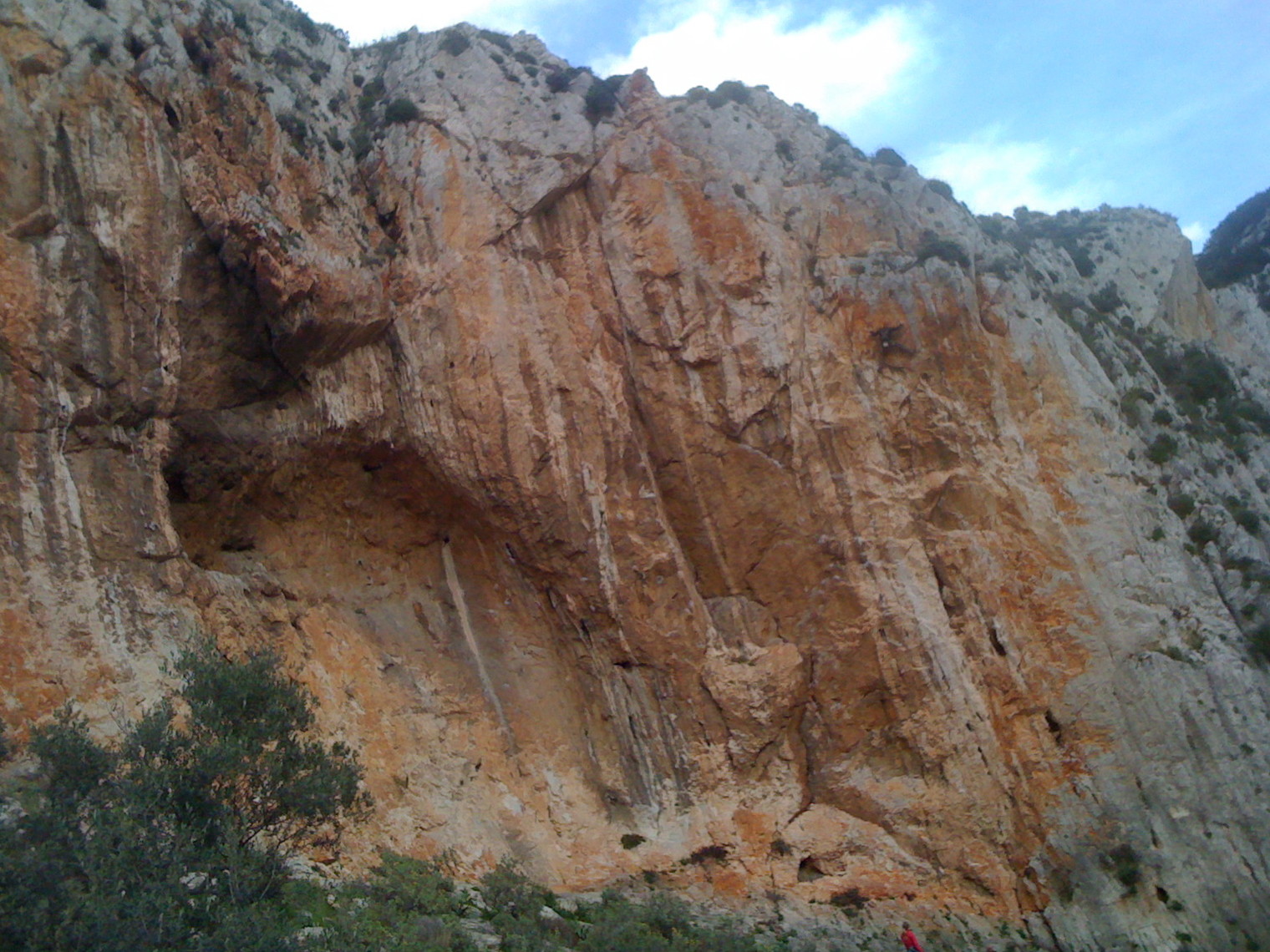 Latsoudorema
